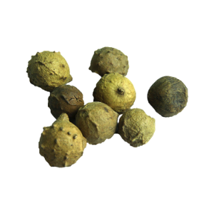 HOW'S IT MADE? – shiksham-narayanam